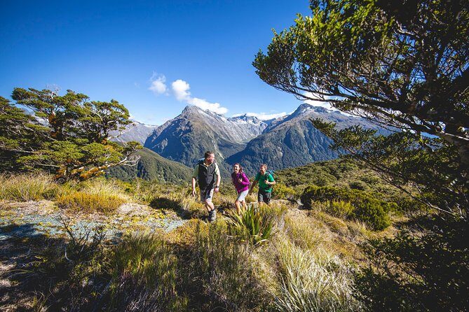 Full-Day Routeburn Track Key Summit Guided Walk from Te Anau - Exploring the Full-Day Routeburn Track Key Summit Guided Walk from Te Anau