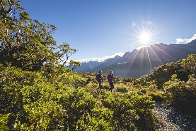 Full-Day Routeburn Track Key Summit Guided Walk from Te Anau - Who Will Love This Experience?