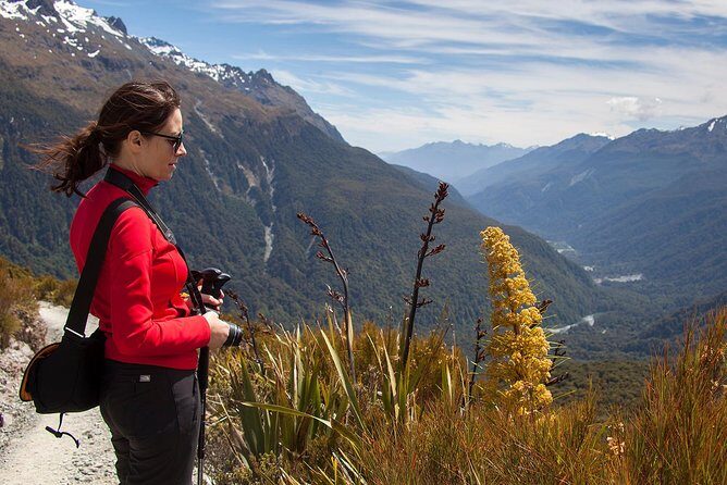 Full-Day Routeburn Track Key Summit Guided Walk from Te Anau - Deep Dive into the Itinerary