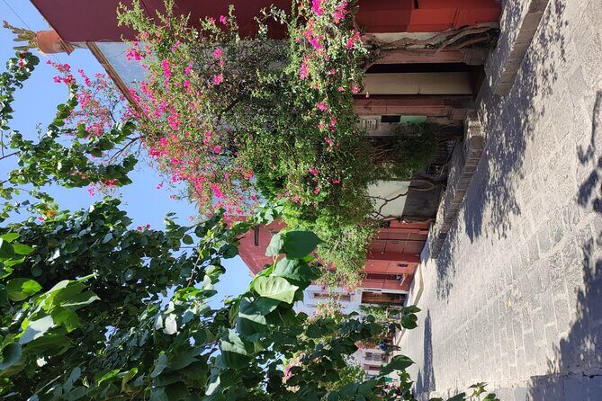 Full Day: San Miguel de Allende - Frequently Asked Questions
