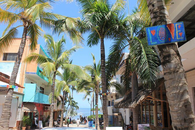 Full-Day Sayulita and San Pancho from Puerto Vallarta - Authenticity & Real Experiences from Reviews