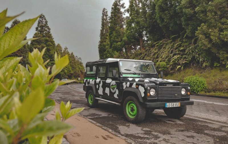 Full Day Sete Cidades + Lagoa do Fogo - Who Will Love This Tour?