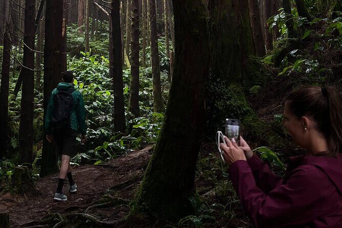 Full Day Sete Cidades with Whale Watching at Mosteiros - What’s Included and Whats Not?