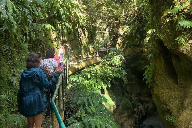 Full Day Sete Cidades with Whale Watching at Mosteiros - Final Thoughts