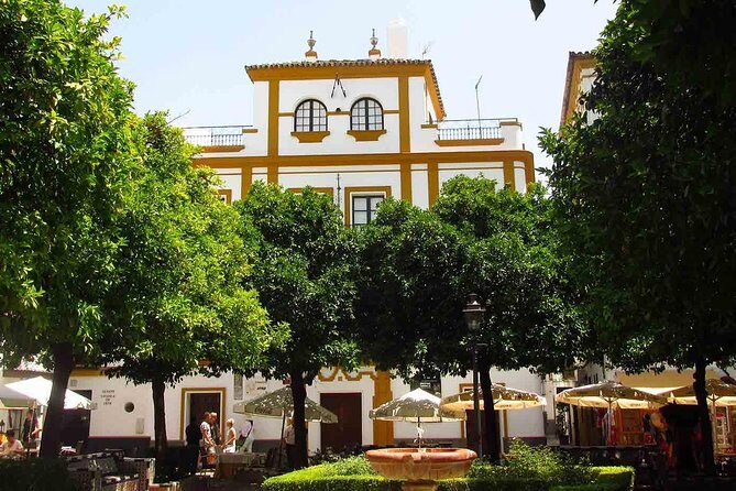 Full Day Seville Tour with tickets (optional Tapas & Flamenco) - Frequently Asked Questions