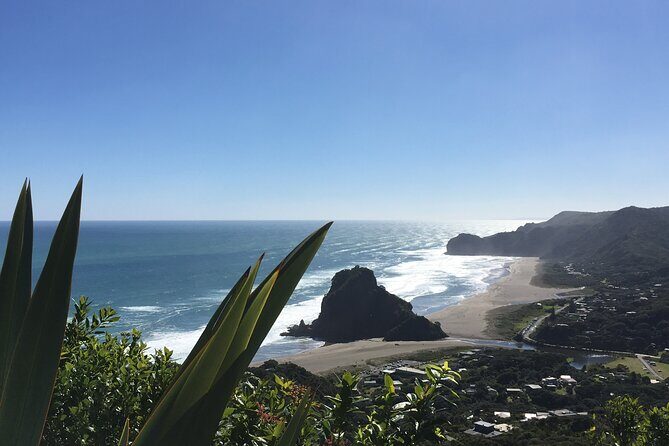 Full Day Sightseeing Tour in Auckland - Introduction