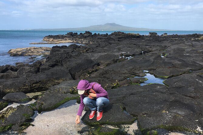 Full Day Sightseeing Tour in Auckland - What Reviewers Say