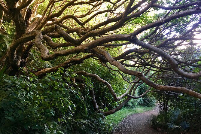 Full Day Sightseeing Tour in Auckland - Who Is This Tour Best For?