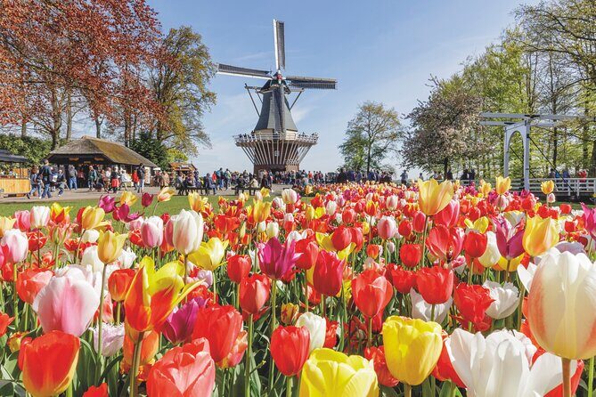 Full-Day Skip the Line Keukenhof and Canal Cruise from Amsterdam - Key Points  