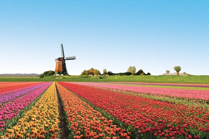 Full-Day Skip the Line Keukenhof and Canal Cruise from Amsterdam - Frequently Asked Questions  