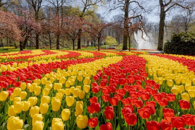 Full-Day Skip the Line Keukenhof and Canal Cruise from Amsterdam - Final Thoughts  