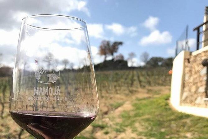 Full Day-Small group: Barbagia Experience: Mamoiada and Orgosolo from Cagliari - Price and Value Analysis