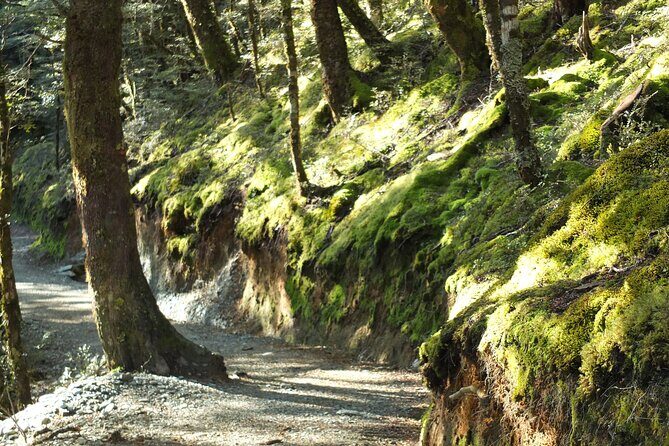 Full Day Small Group Routeburn Valley Hike - Transportation and Group Size