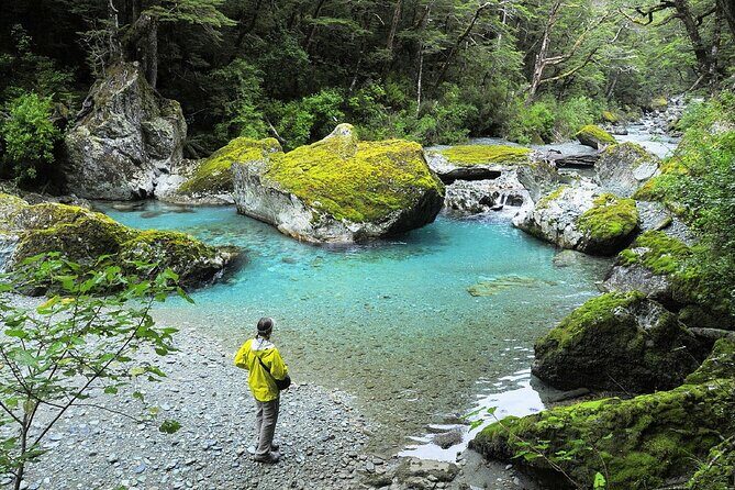 Full Day Small Group Routeburn Valley Hike - Who Will Love This Tour?