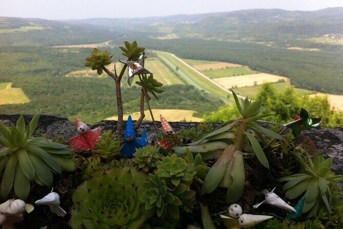 Full-Day Small-Group Tour in Istria - Exploring Istria: A Full-Day Small-Group Tour Review