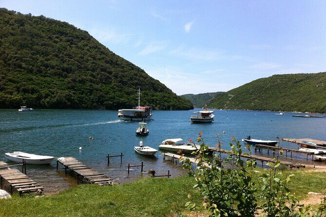 Full-Day Small-Group Tour in Istria - FAQ