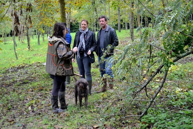 Full-Day Small-Group Truffle Hunting in Tuscany with Lunch - Introduction