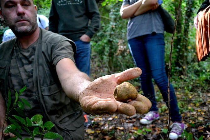 Full-Day Small-Group Truffle Hunting in Tuscany with Lunch - FAQ