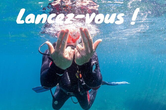 Full-Day Snorkeling and Guided Dive in the Calanques National Park from Marseille - An Overview of the Experience
