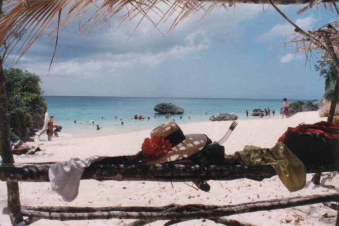 Full Day Snorkelling Cruise in Tranquility Island Resort - Final Thoughts: Is This Tour Worth It?