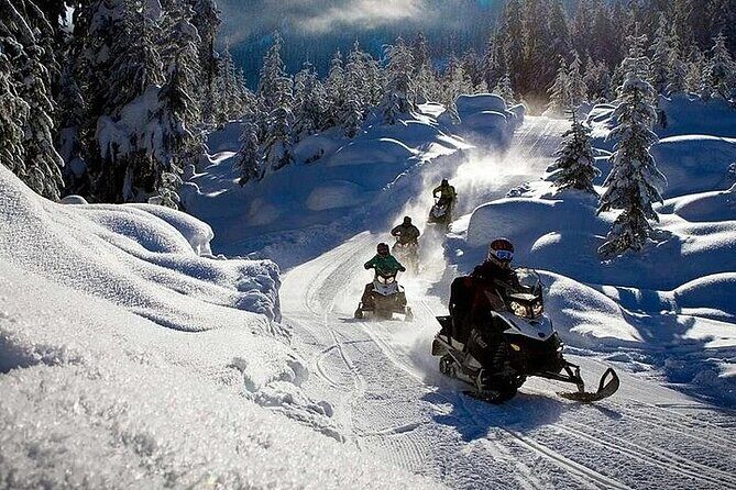 Full Day Snowmobile Safari - An In-Depth Look at the Tour