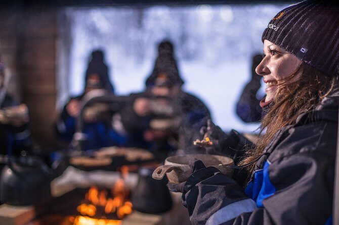 Full Day Snowmobile Safari into the Lappish Wilderness in Rovaniemi - Detailed Breakdown of the Itinerary