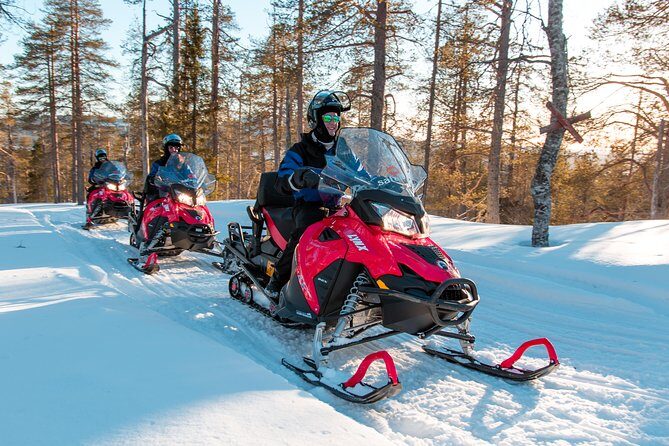 Full Day Snowmobile Safari into the Lappish Wilderness in Rovaniemi - Who Would Love This Experience?