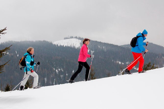 Full-Day Snowshoeing in High Tatras with Local Mountain Guide from Poprad - The Experience: What’s Included and What Not