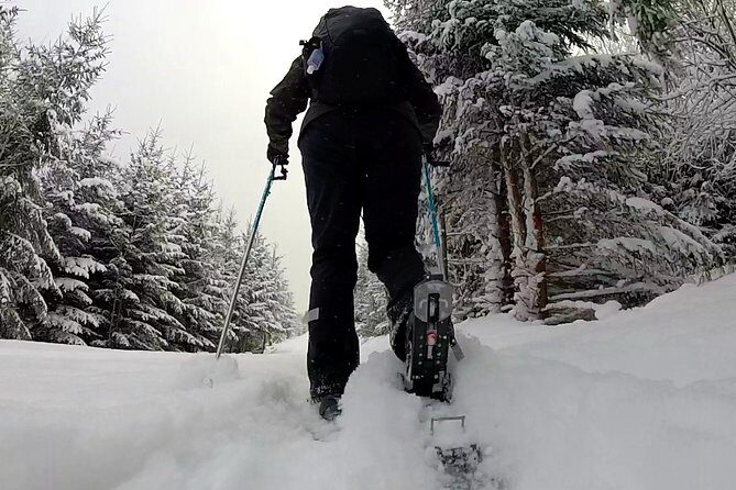Full-Day Snowshoeing in High Tatras with Local Mountain Guide from Poprad - Who Should Book This Tour?