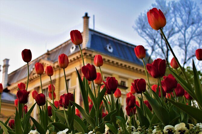 Full Day Sofia Tour - Practicalities and Tips