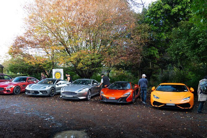 Full-Day Supercar Drive Experience from Auckland (lunch included) - Who Should Consider This Tour?