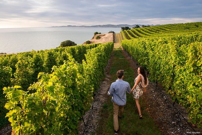 Full-Day Taste the Wines of Marlborough Tour - Key Points
