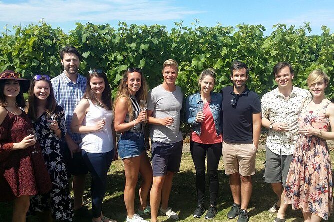 Full-Day Taste the Wines of Marlborough Tour - Why This Tour Works Well