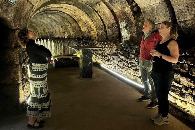 Full Day Tasting The Unknown Rioja Wine Region - An In-Depth Look at the Rioja Full-Day Tour