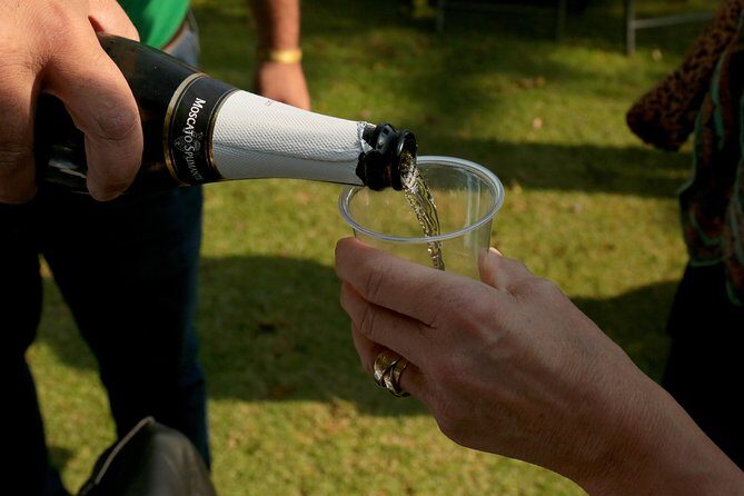 Full-Day Teotihuacan Hot Air Balloon Tour from Mexico City Including Transport - Authentic Insights from Past Travelers  