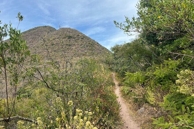 Full Day Teotitlan Del Valle Village Private Tour - Discovering Teotitlán del Valle: What to Expect