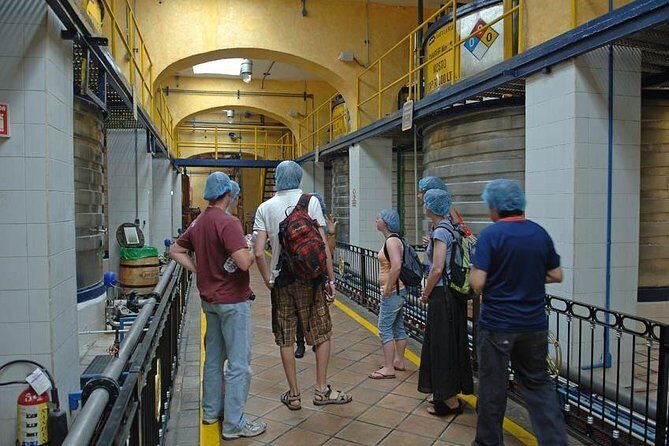 Full-Day Tequila, Jalisco from Puerto Vallarta with Tequila Experience - FAQ