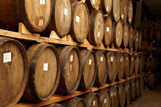 Full-Day Tequila Tour from Guadalajara - Key Points