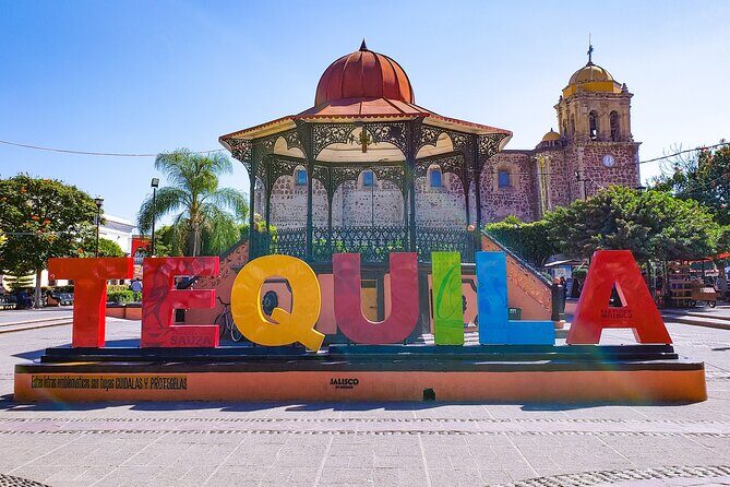 full day Tequila tour visiting artisanal distillery and downtown. - Key Points