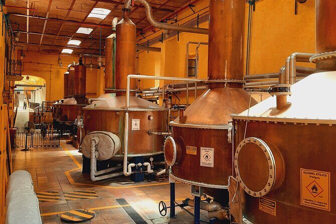 full day Tequila tour visiting artisanal distillery and downtown. - The Sum Up