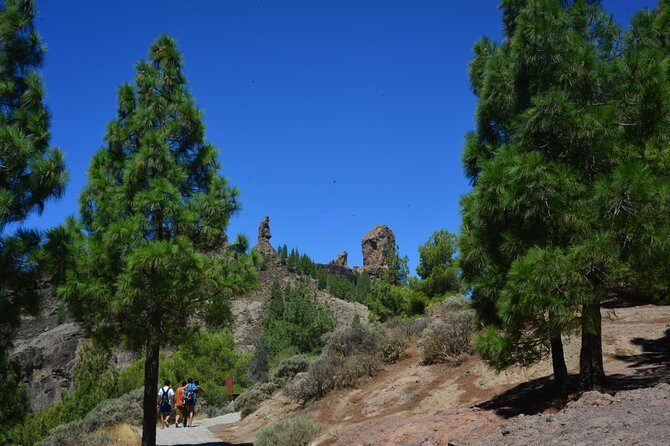 Full Day to Bandama Volcano, Center and High Peaks of Gran Canaria & Roque Nublo - Authentic Experiences and Practical Tips