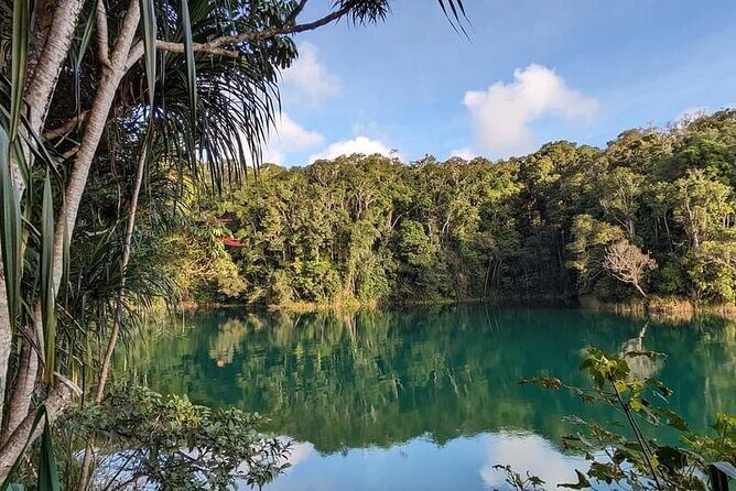 Full-day Tour at the Atherton Tablelands with Food Tasting - Exploring the Atherton Tablelands: An Authentic Day Out in Tropical North Queensland