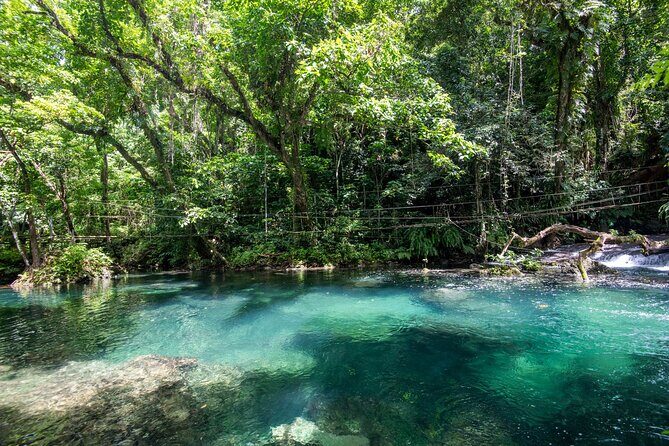 Full Day Tour Cascades Adventure, Turtles and Blue Lagoon - Final Thoughts
