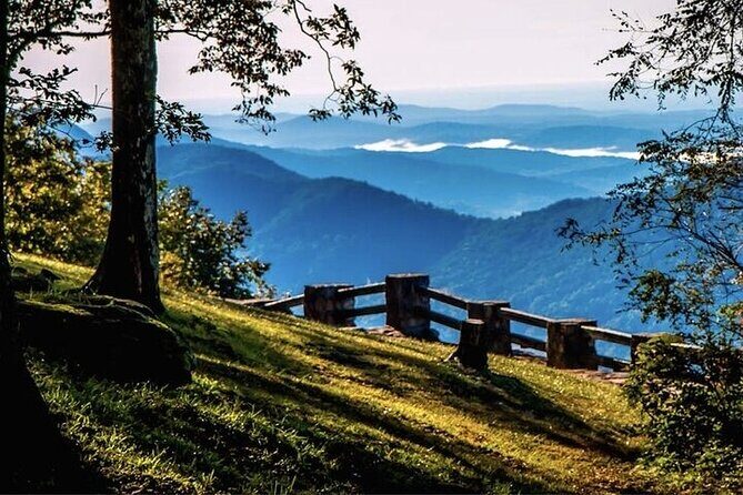 Full Day Tour from Atlanta to Amicalola Falls and Blue Ridge - An Overview of the Tour Experience