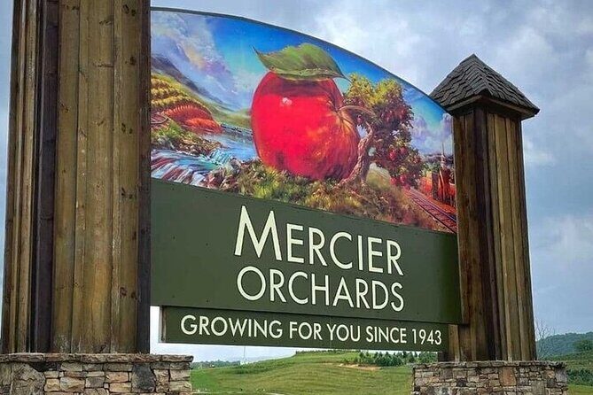 Full Day Tour from Atlanta to Amicalola Falls and Blue Ridge - Final Thoughts: Is This Tour Worth It?