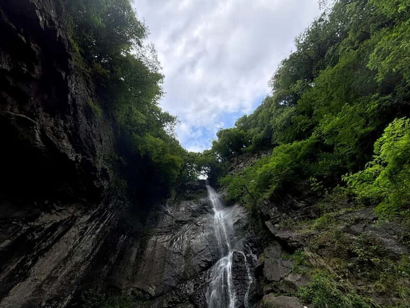 Full Day Tour from Batumi to Waterfalls - An In-Depth Look at the Tour Experience