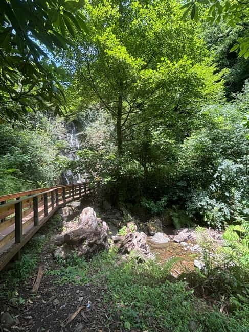 Full Day Tour from Batumi to Waterfalls - Frequently Asked Questions