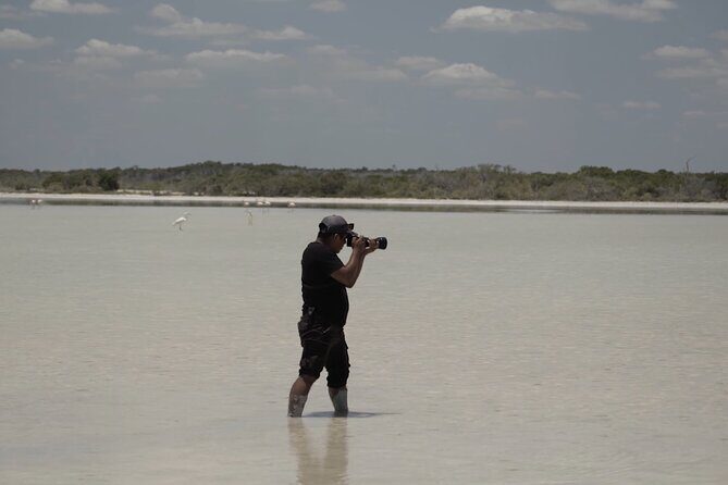 Full Day Tour from Tulum to Rio Lagartos - Key Points