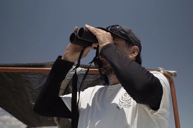 Full Day Tour from Tulum to Rio Lagartos - Frequently Asked Questions