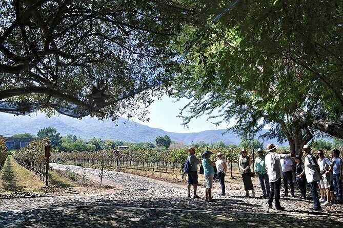 Full Day Tour in Finca Estramancia Vineyard with stop in Chapala - Final Thoughts